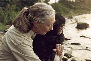 ArcNews Spring 2005 Issue -- Dr. Jane Goodall to Present Keynote ...